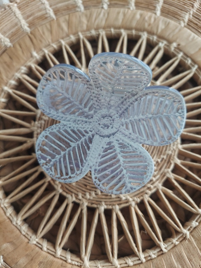 Adult Size Hair Claws – JennyAshers Design